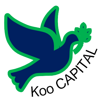 Risk Disclosure - KooCapital.Com